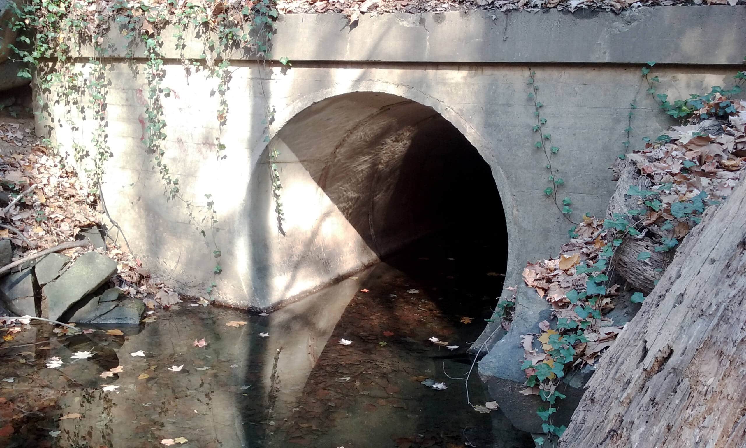 MS4 TMDL Implementation Planning & Monitoring for Washington, DC ...