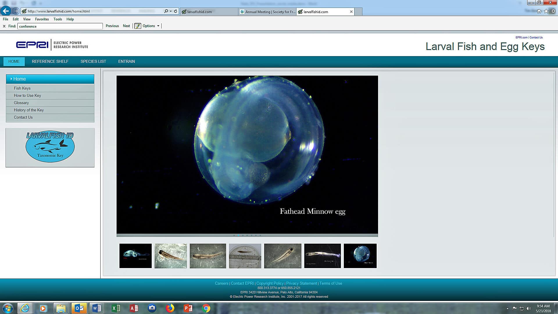 Jacobson Presenting on Larval Fish Key Website at SFS Annual Meeting ...
