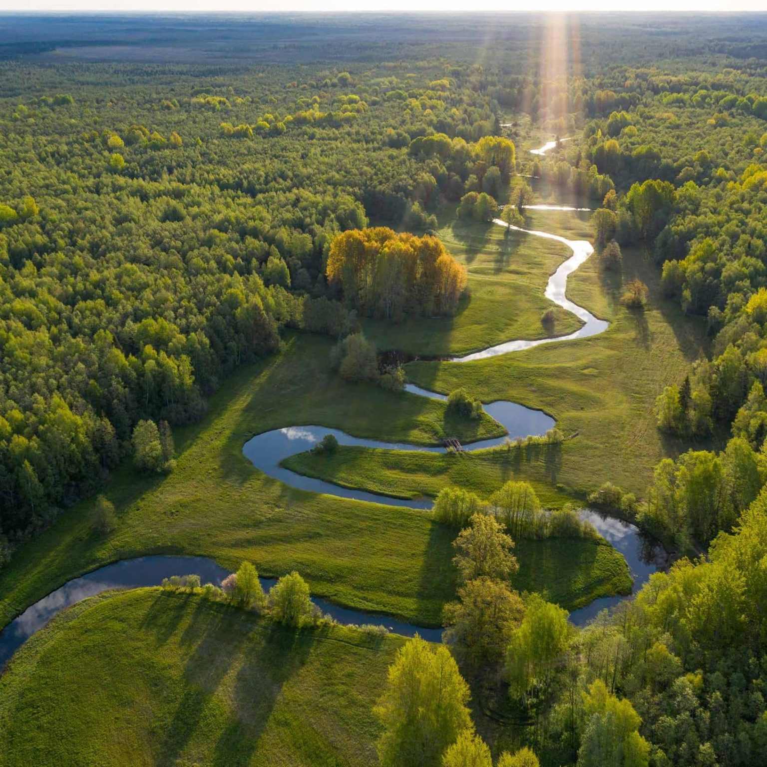 Replenish Projects and Volumetric Benefits within the Framework of the ...