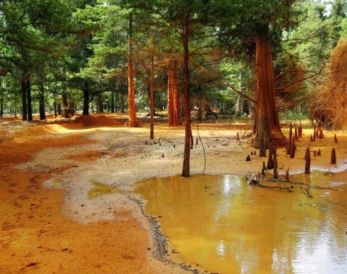 Contaminated Sediments - LimnoTech