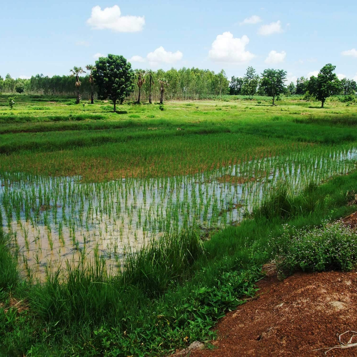 Quantifying Watershed Restoration Benefits in Community Water ...