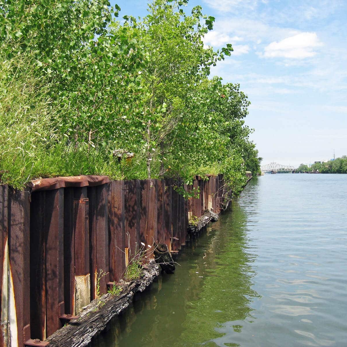 Chicago Area Waterway System Habitat Evaluation & Improvement Study ...