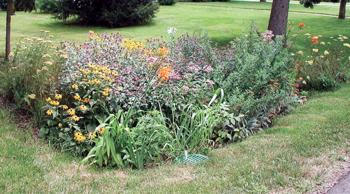 Our Projects - LimnoTech