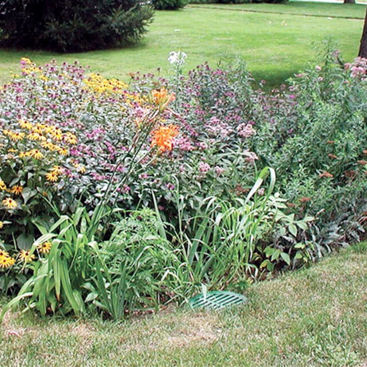 Leveraging Historical BMP Data To Meet Anne Arundel County MS4 ...