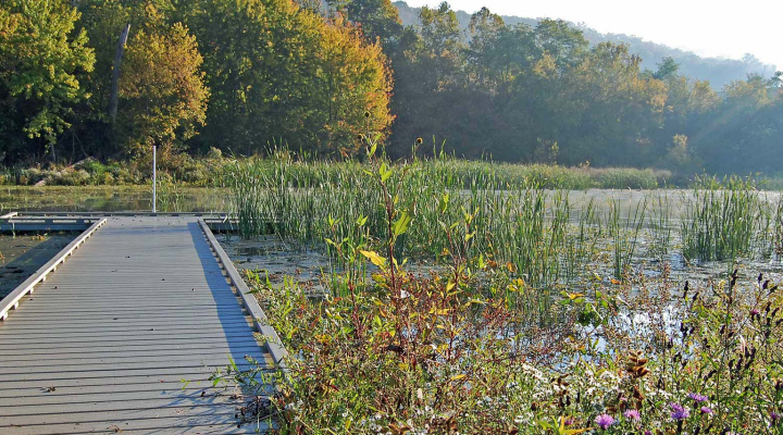 Our Projects - LimnoTech