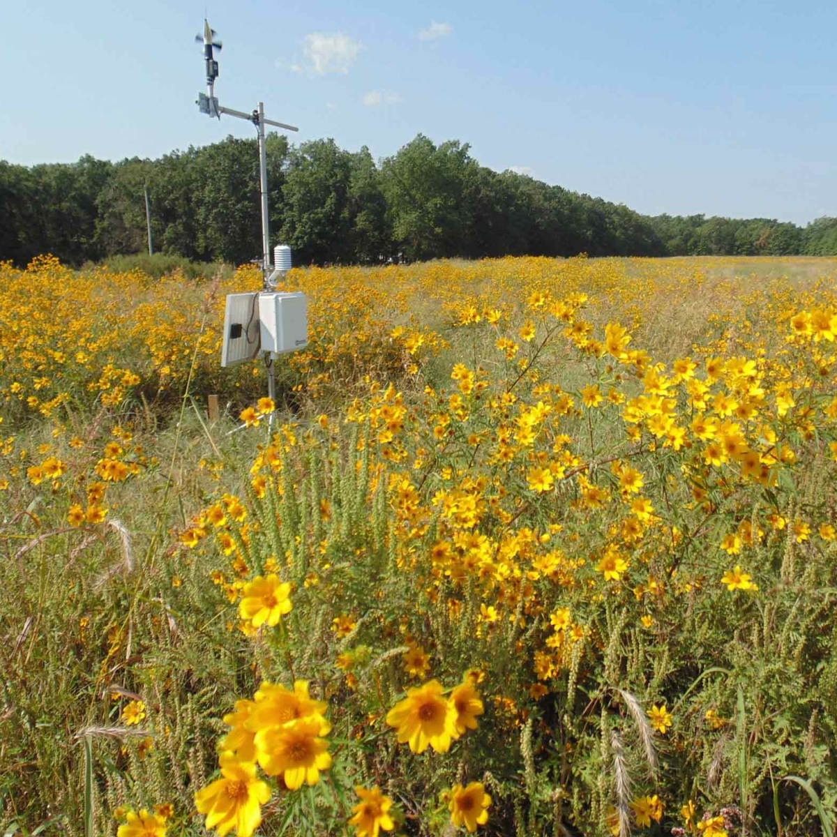 Wetland Demonstration To Improve Great Lakes Tributary Water Quality - LimnoTech