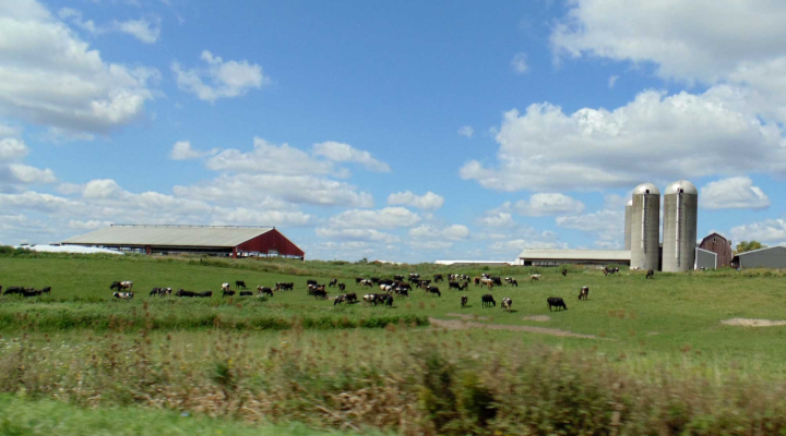 Our Projects - LimnoTech